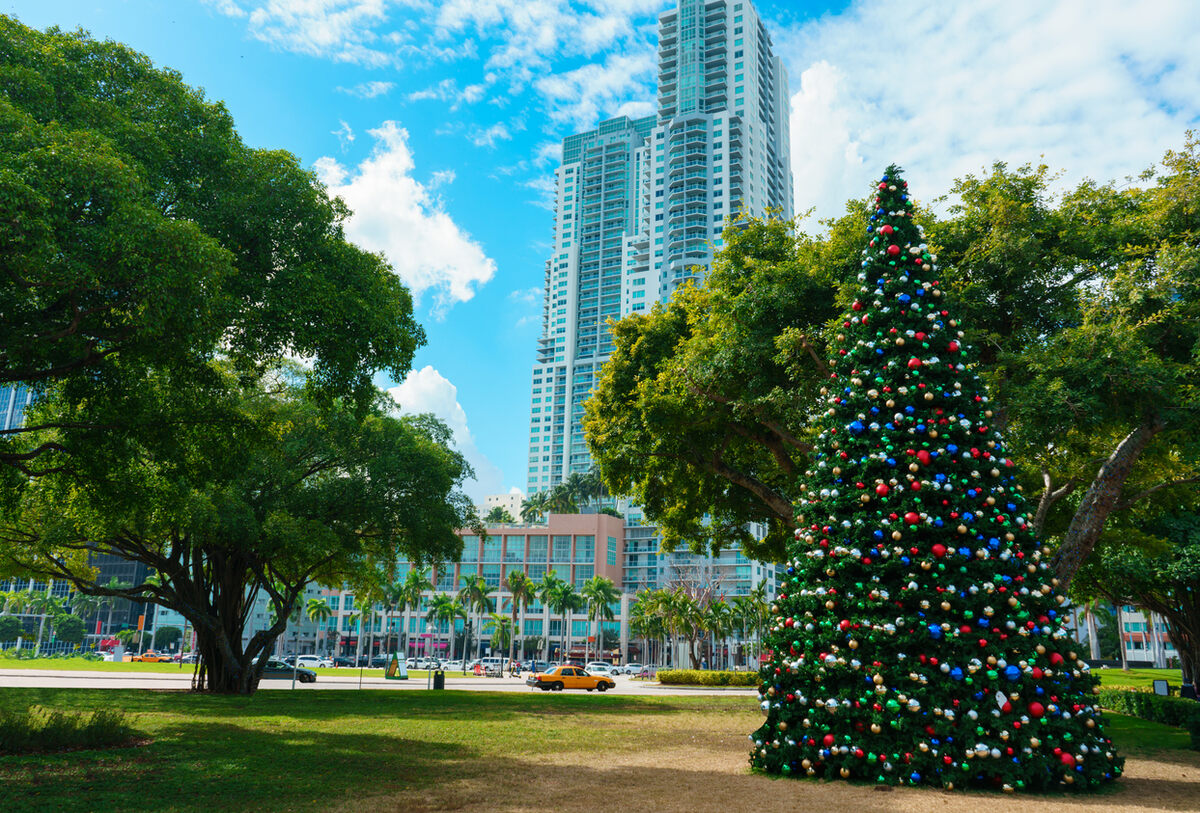 Miami Christmas Gifts: Holiday Gifts in Miami | Giftory