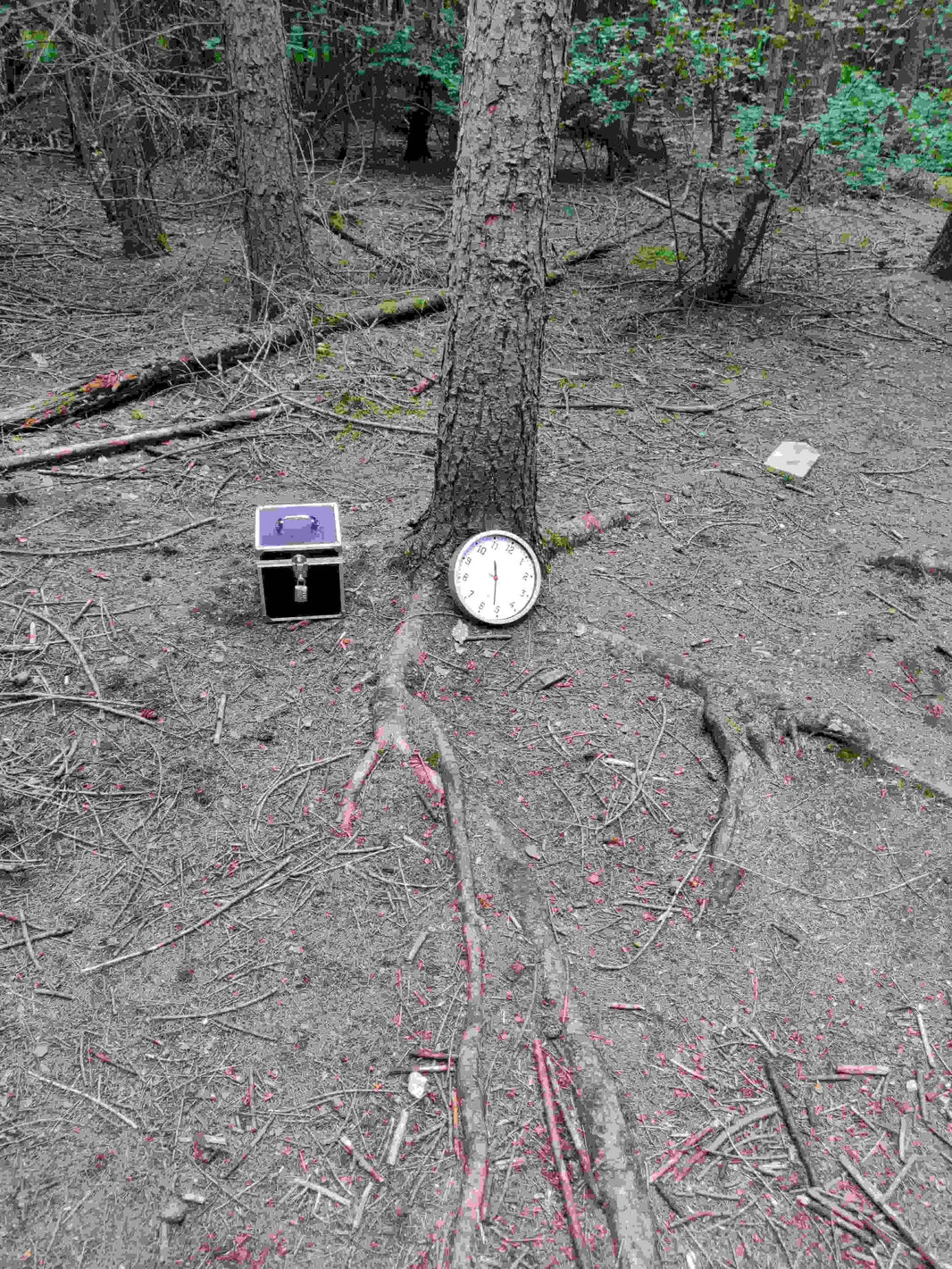 Chicago Outdoor Axe Throwing with Go Ape | Chicago | Illinois | Giftory