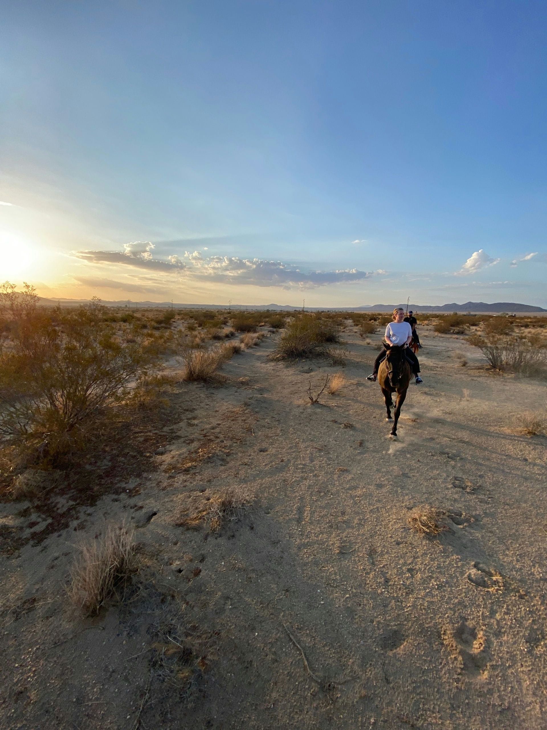 Joshua Tree Horseback Trail Ride | Joshua Tree | California | Giftory