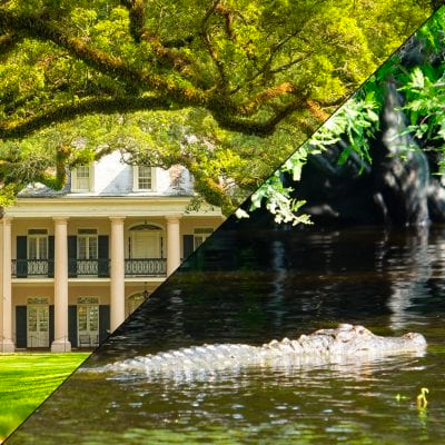Destrehan Plantation + Covered Boat Swamp Tour | New Orleans ...