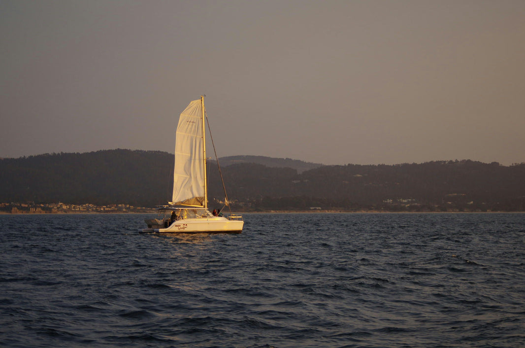 Daytime Catamaran Sailing Cruise | Monterey | California | Giftory