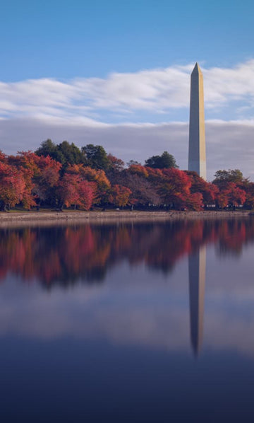 Giftory: Experience Gifts & Ideas For Every Occasion